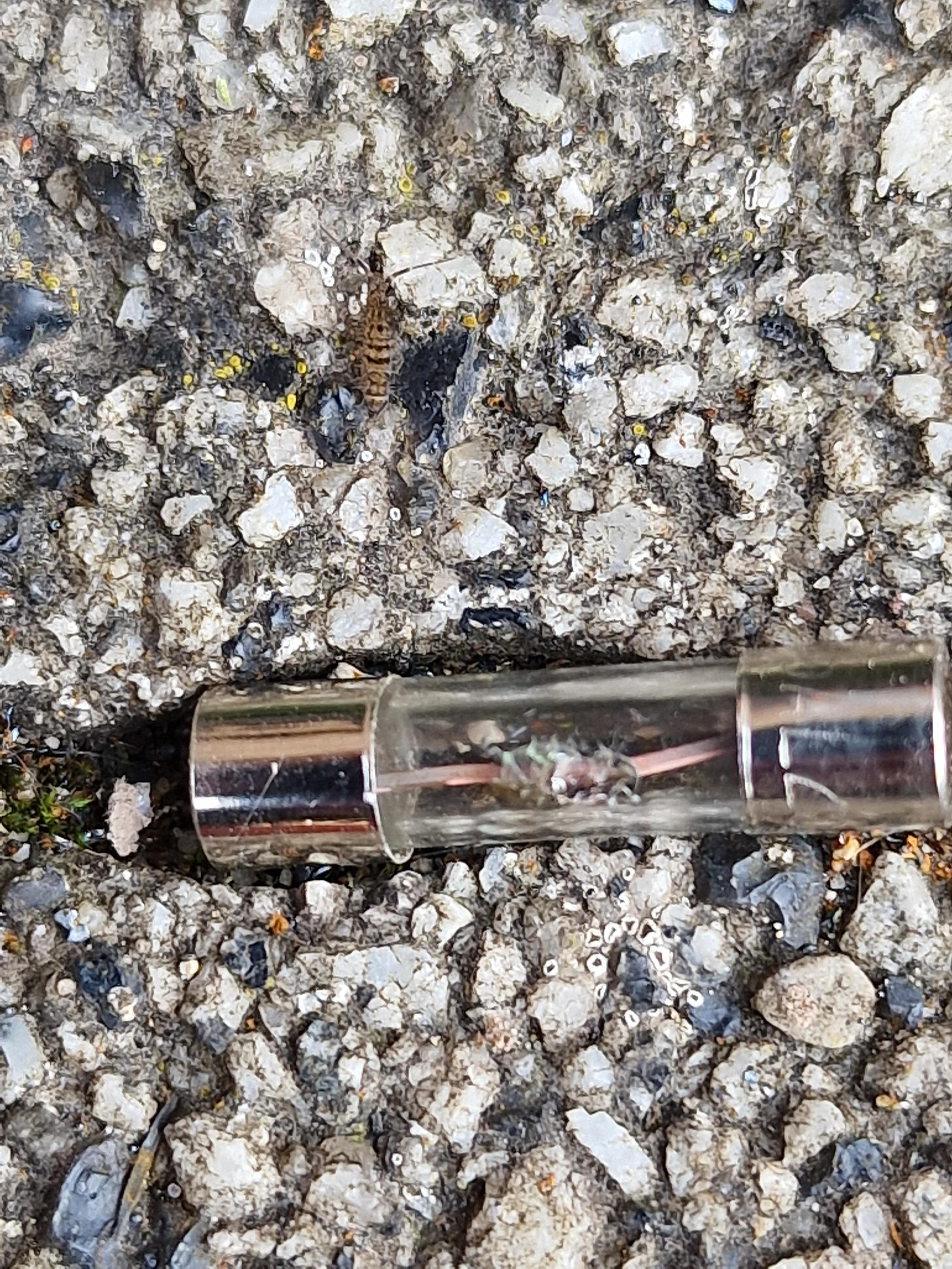 Awaria sterownika bramy dwuskrzydłowej RSB-2s po burzy - spalenie ...