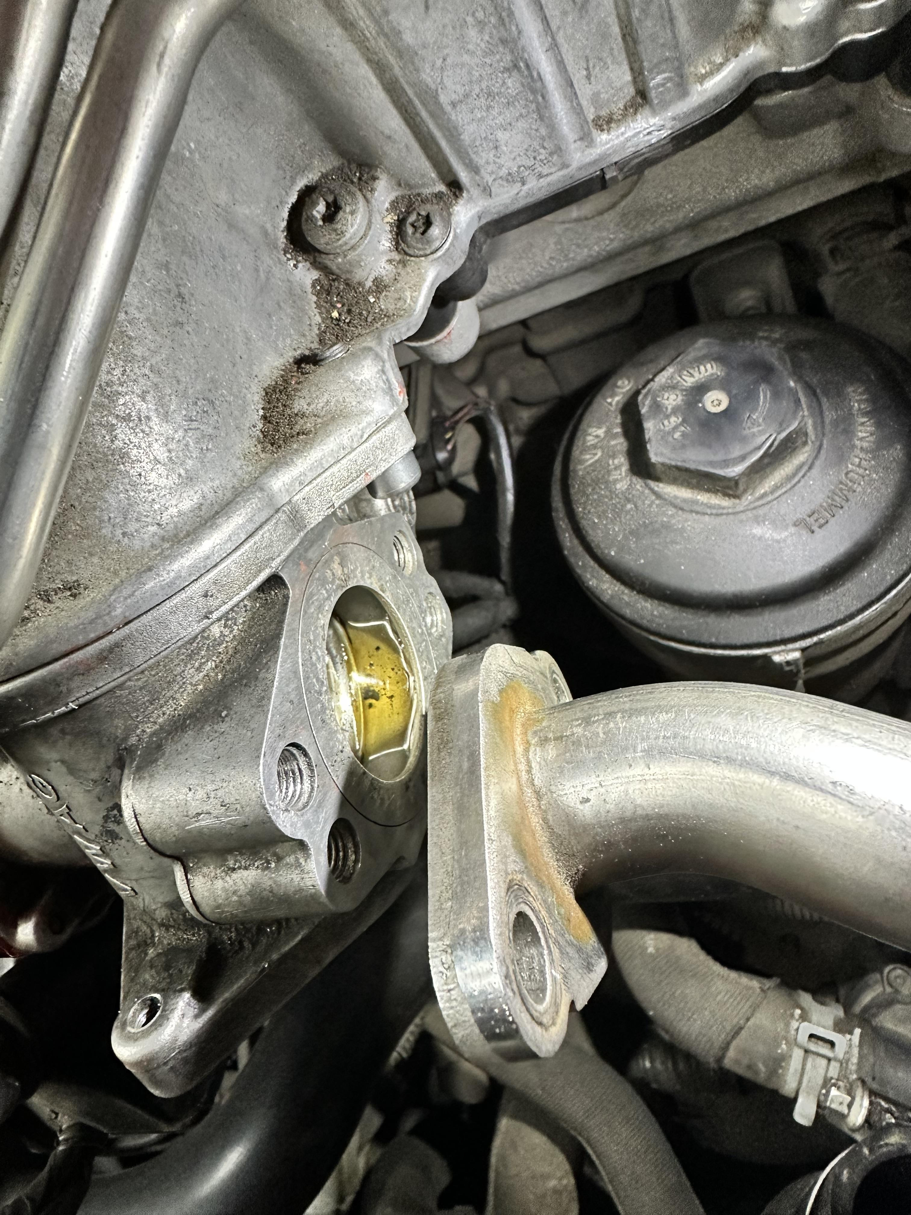 Audi A4 B8 2.0 TDI: Błąd 4900 P0405 w zaworze EGR - skąd ciecz w zaworze?