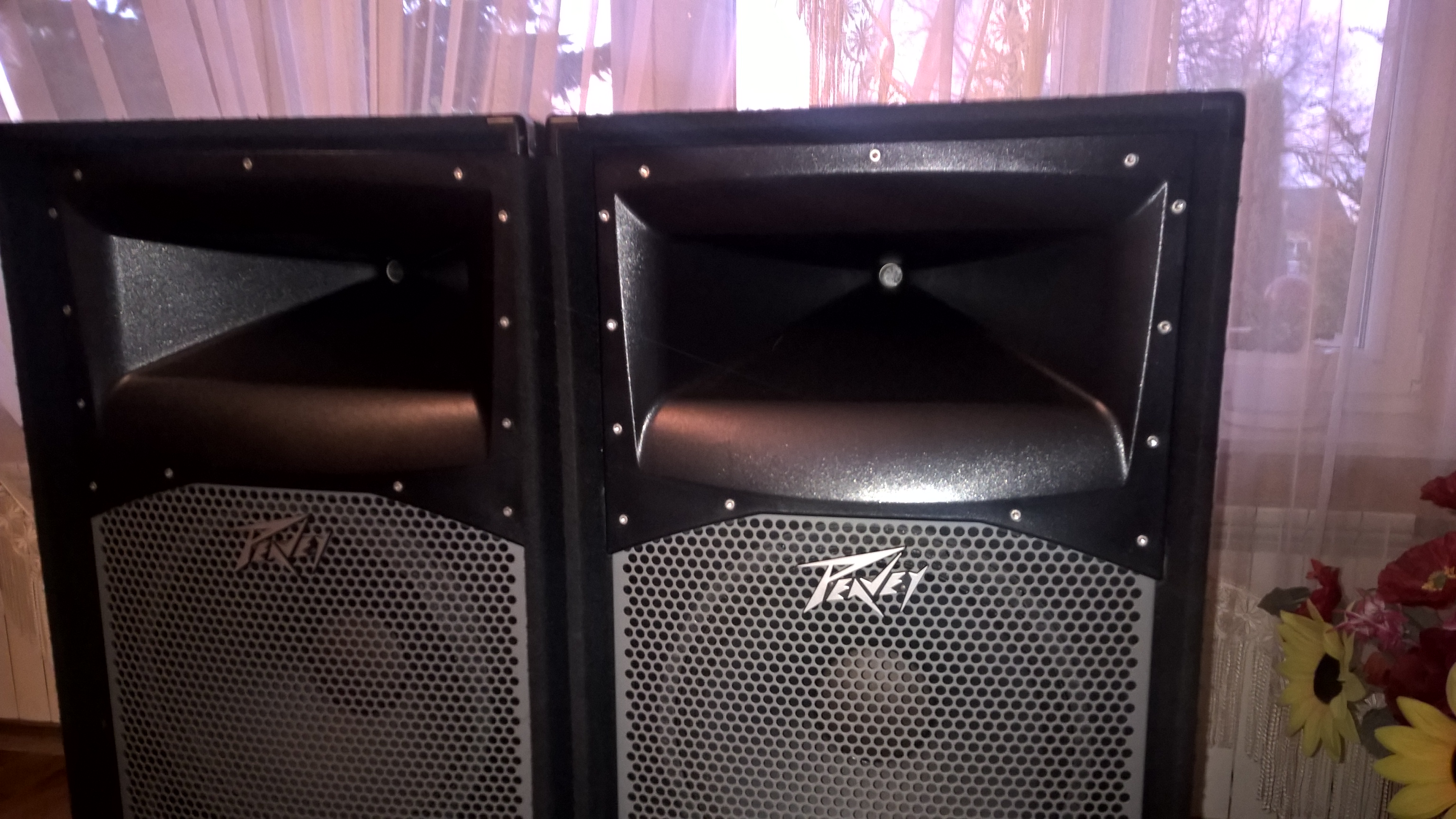 [Sprzedam] Kolumny PEAVEY SP4 stan bdb - elektroda.pl