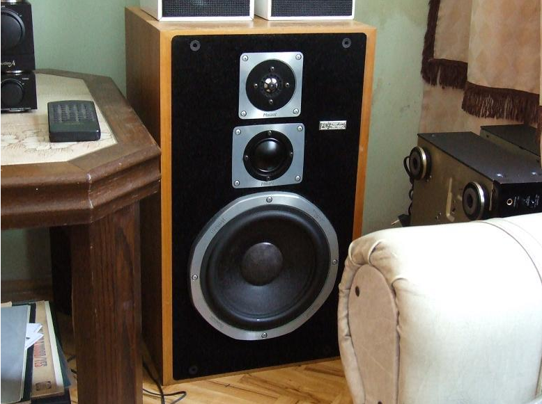 Magnat ALL Ribbon 10P - Czy warto? Opinie o jakości dźwięku i parametrach